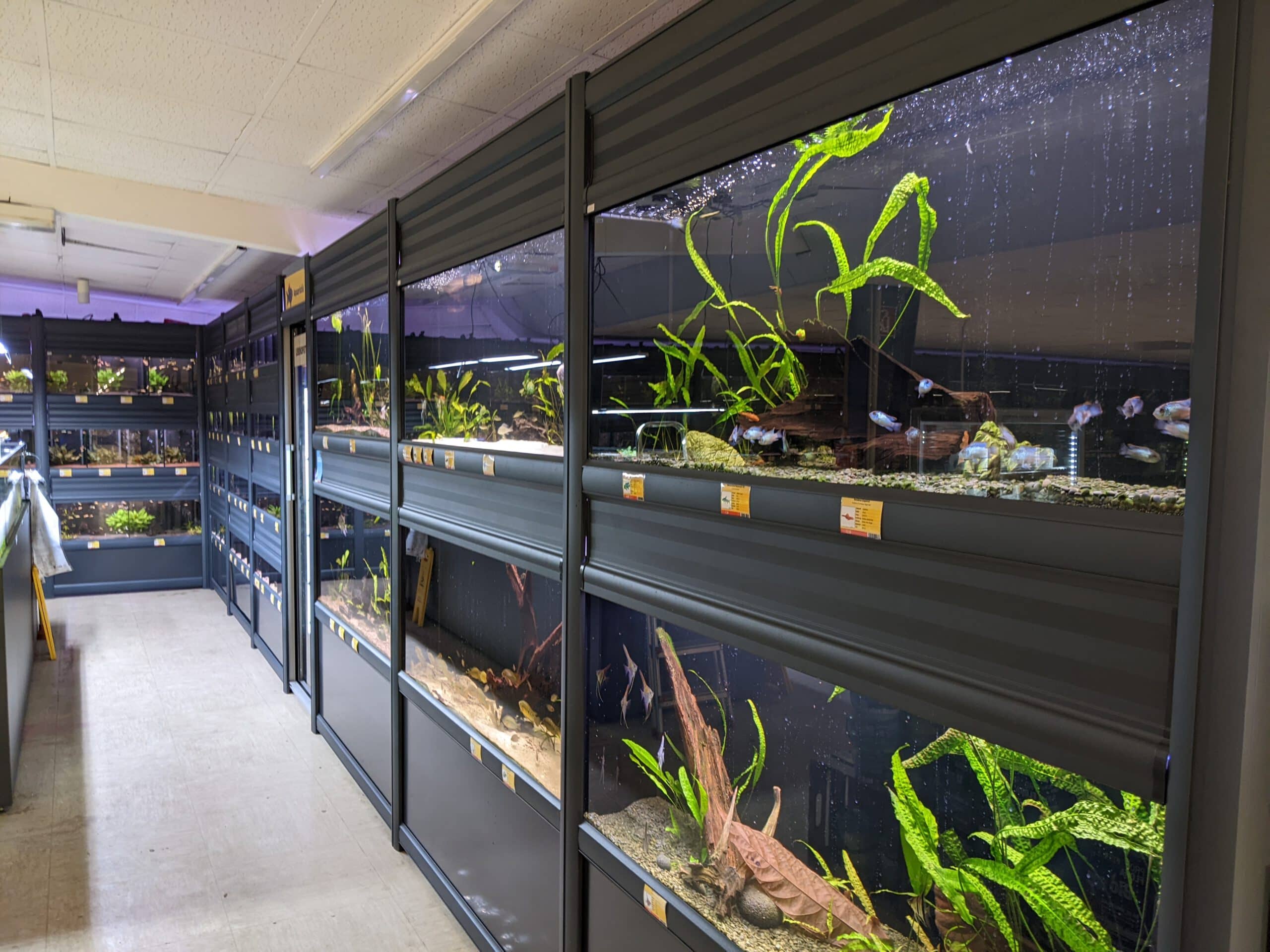 Futterhaus Berlin-Buckow - Aquaja | Pet & Aquatic Shopfitting